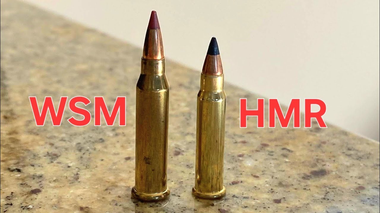 17hmr vs 17wsm: This is my choice - YouTube