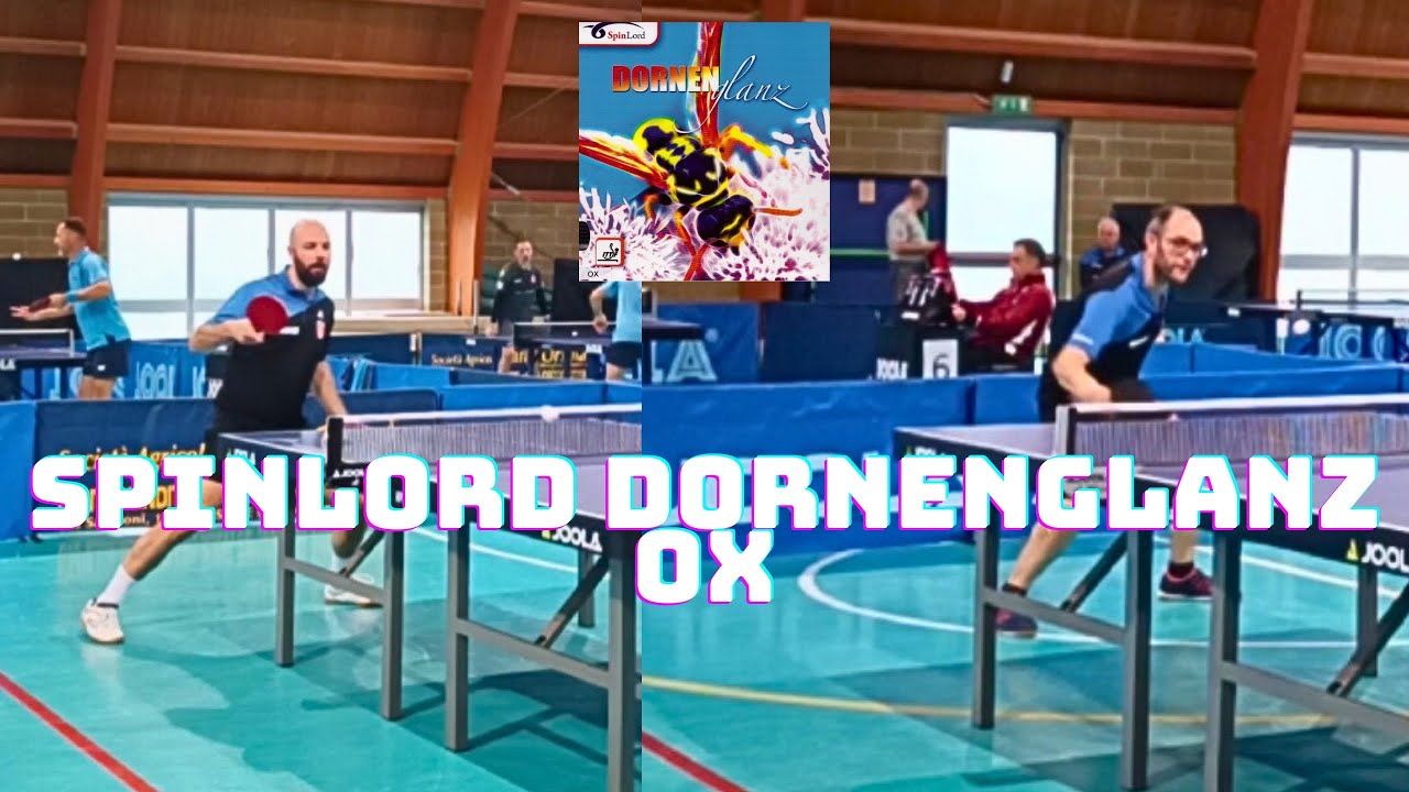 SPINLORD DORNENGLANZ LONG PIPS OX | TABLE TENNIS MATCHES OF THE ...