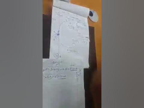 Oestrus cycle in different animals video no 2 - YouTube