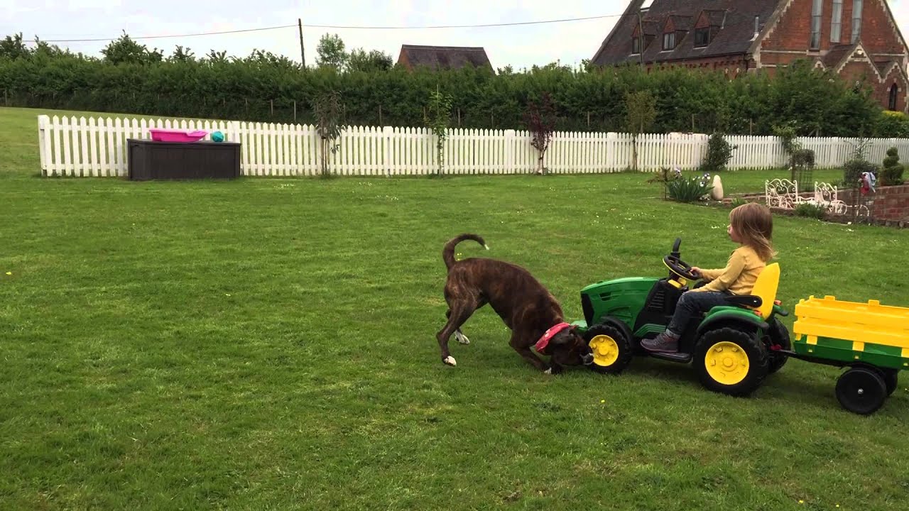 Peg Perego John Deere Ground Force Tractor with Trailer v's Boxer dog ...