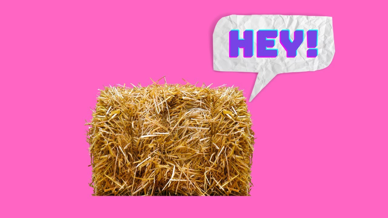 English | Homophones | Hay vs Hey - YouTube