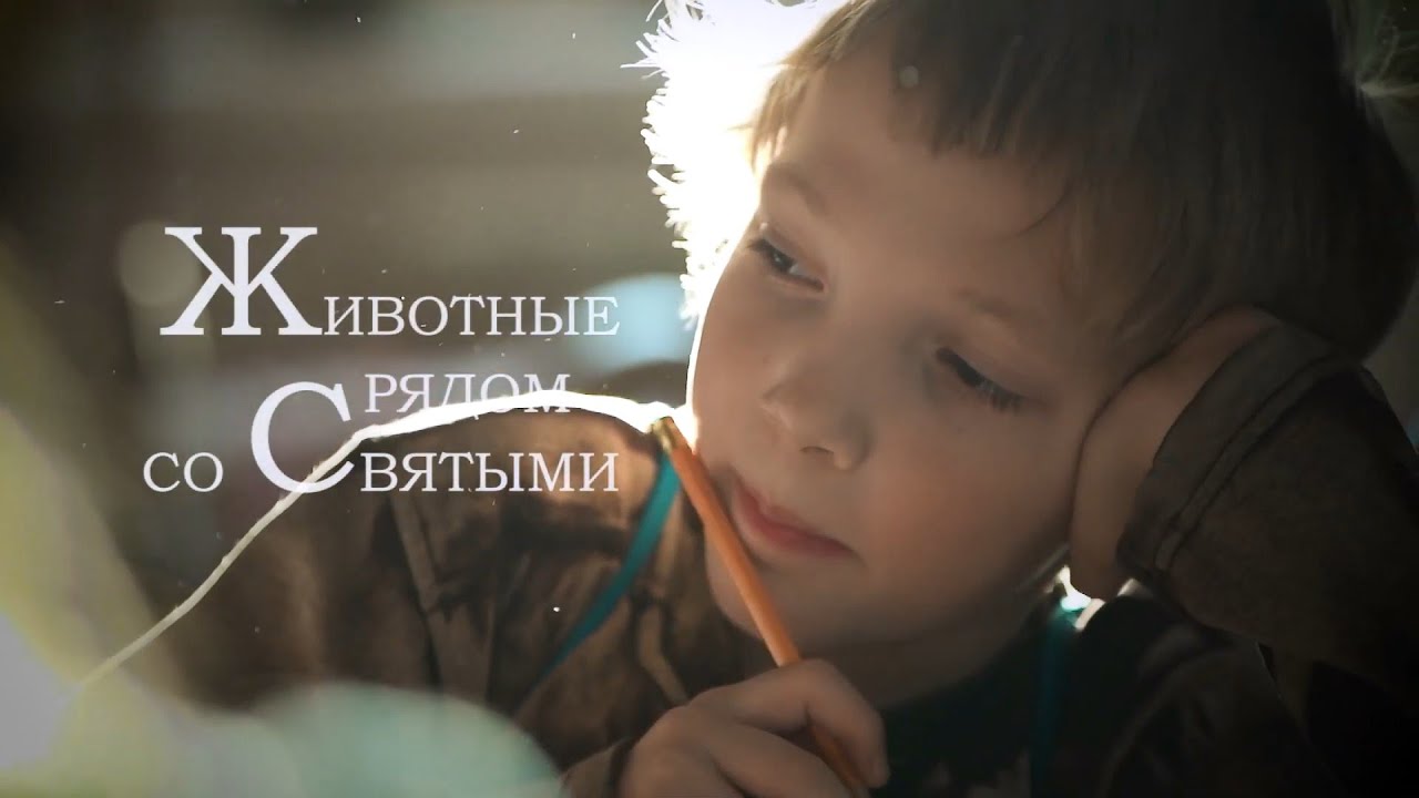 Животные рядом со святыми - YouTube