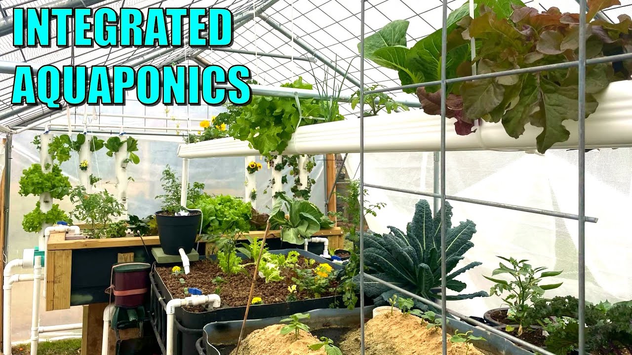AWESOME Aquaponics System with DWC, NFT, DRZ, Sand Beds + MORE ...