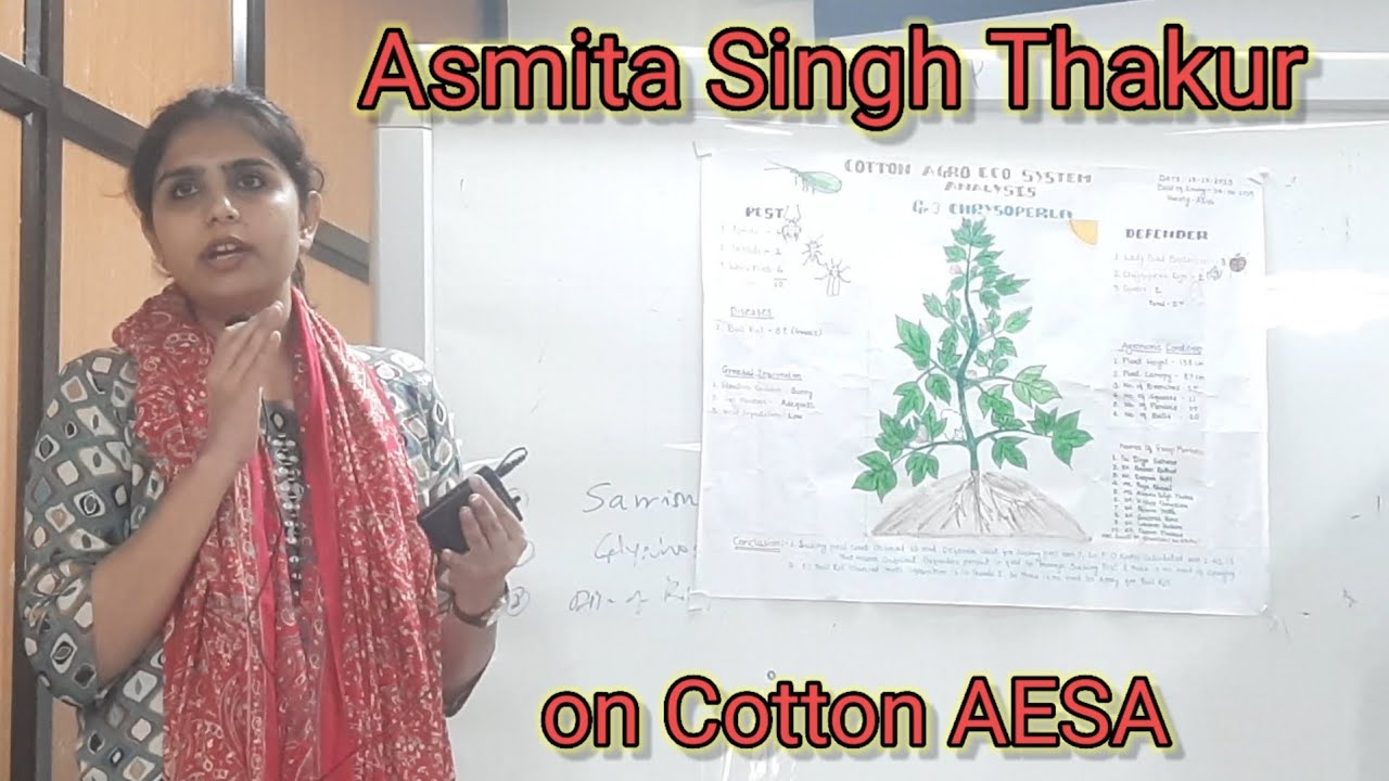 Asmita Singh Thakur - on Cotton AESA - YouTube