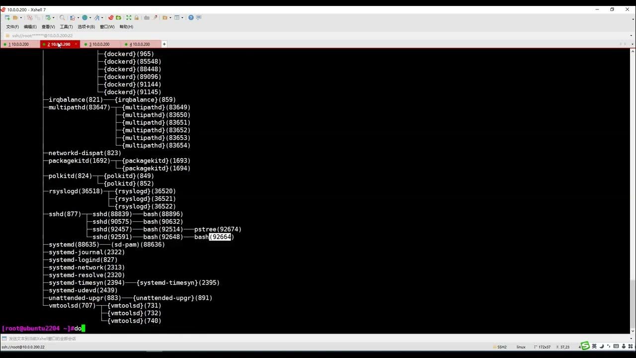 (拼课加V：itstudy1024)小破站付费课程合集2 - YouTube