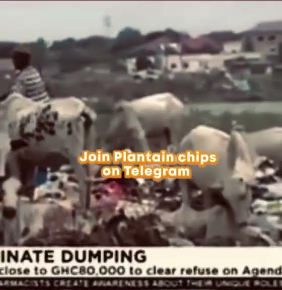 How this woman express the usefulness of Gebedol 😂😂 - YouTube