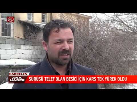 SÜRÜSÜ TELEF OLAN BESİCİ İÇİN KARS TEK YÜREK OLDU