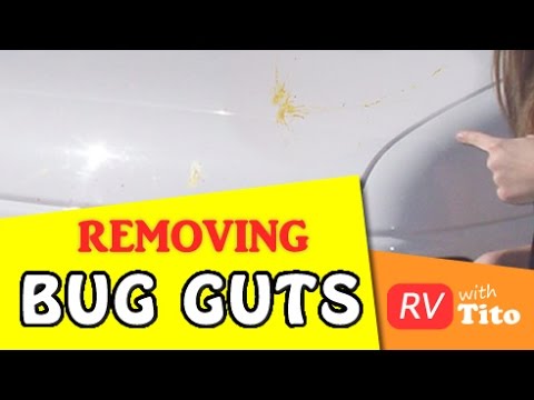 Removing Bug Guts Made Easy - YouTube