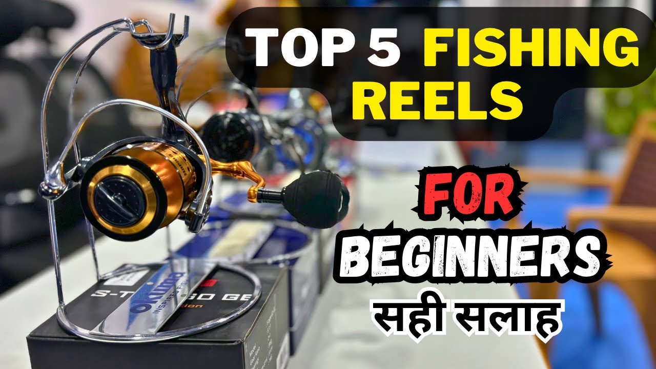Top 5 Fishing Reels for Beginners in 2024 | Best Rod Reels & Gear Guide ...
