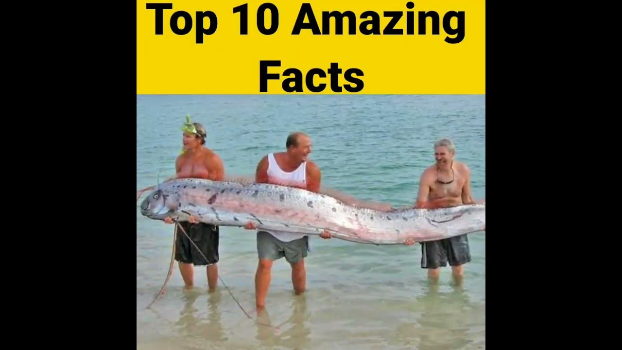 Top Amazing Facts In The World facts topfacts spydestanfacts top-amazing-facts-in-the-world-facts-topfacts-spydestanfacts