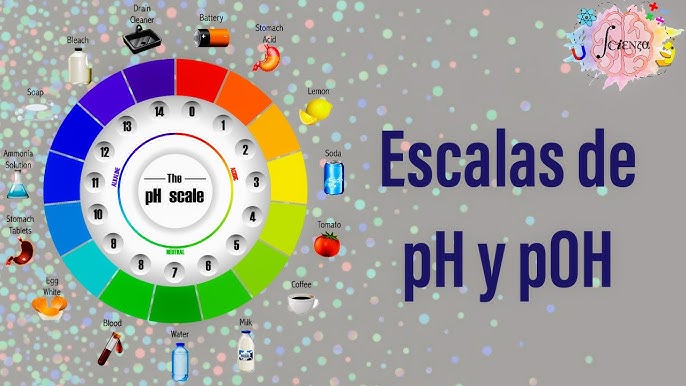Escala De Ph Prueba De Acidez Y Base