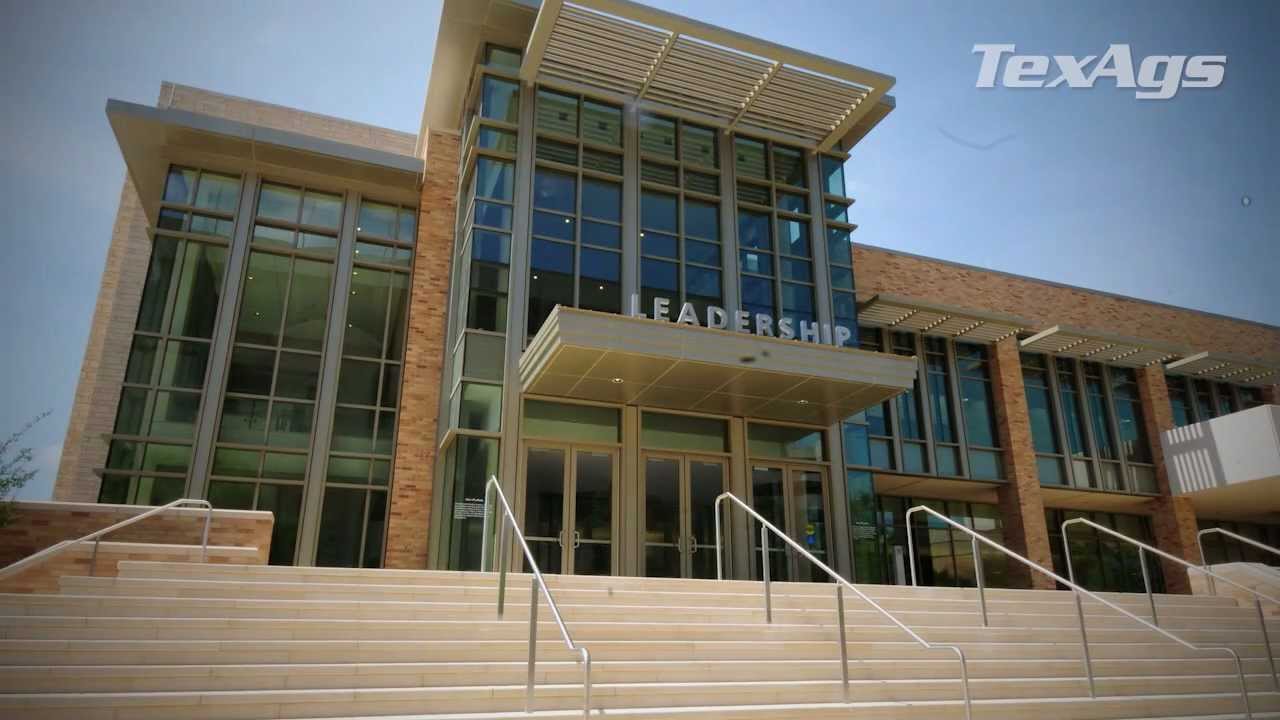 Tamu Msc Suites The Building