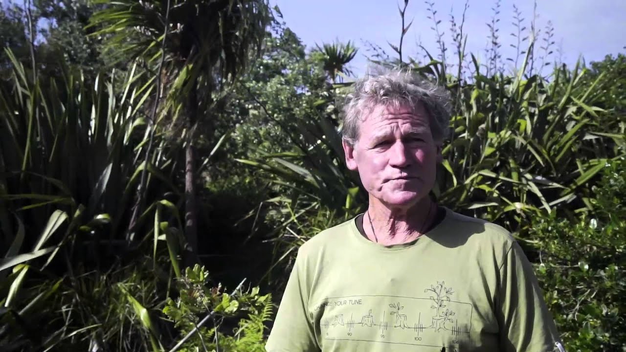 Valley Revegetation with Alan Phelps - YouTube