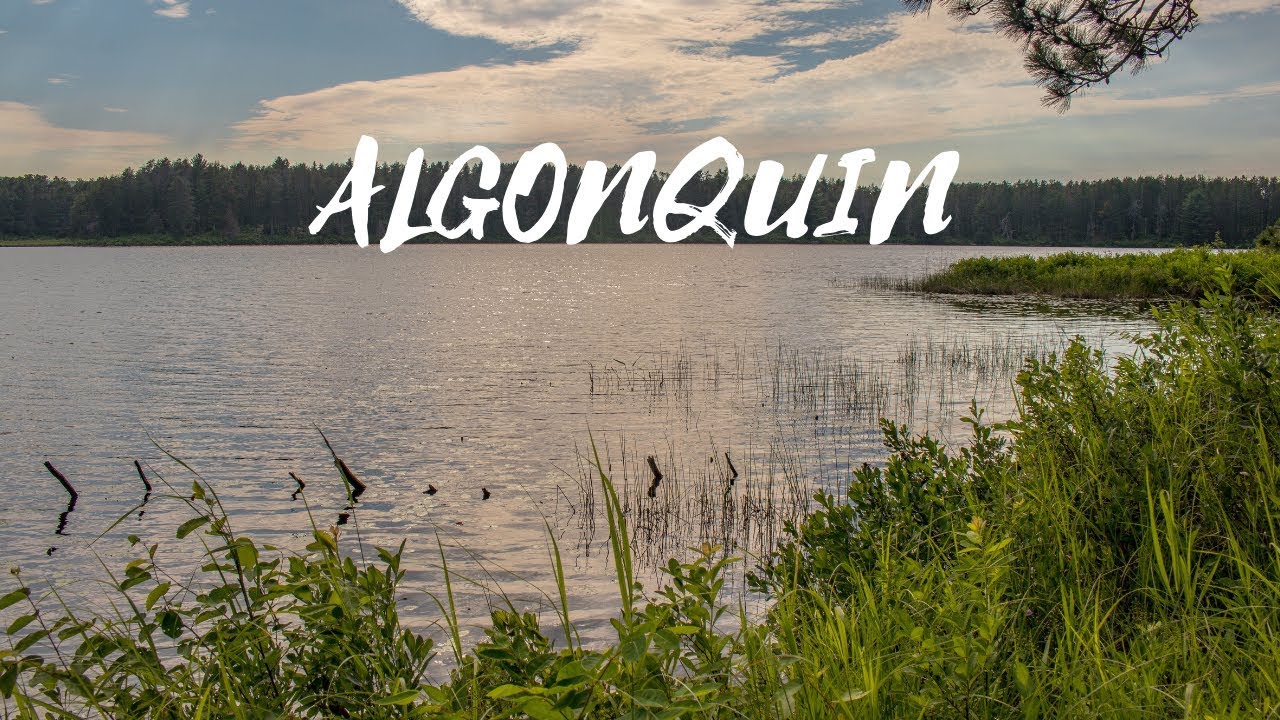 SOLO SPRING CAMP | ALGONQUIN PARK | PT.1 - YouTube