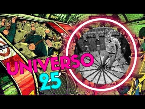 Universo 25: El Experimento que Comprueba porque no podemos Vivir una ...