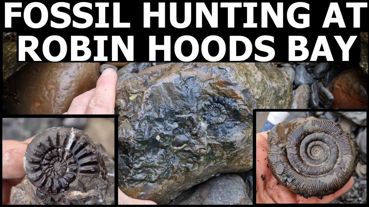 FOSSIL HUNTING at ROBIN HOODS BAY - Yorkshire Jurassic coast. - YouTube
