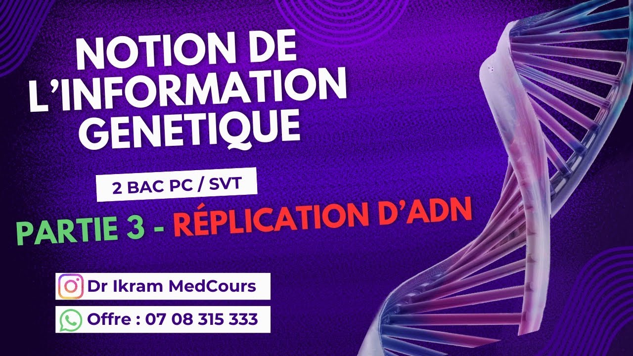 Notion de l'information génétique 2 BAC PC/SVT - Réplication d'ADN ...