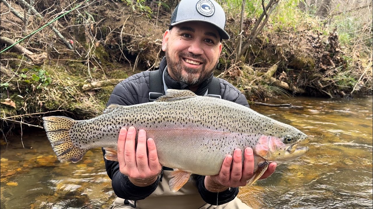 North Georgia Trout Fishing At Bears 2024 Soque River - YouTube