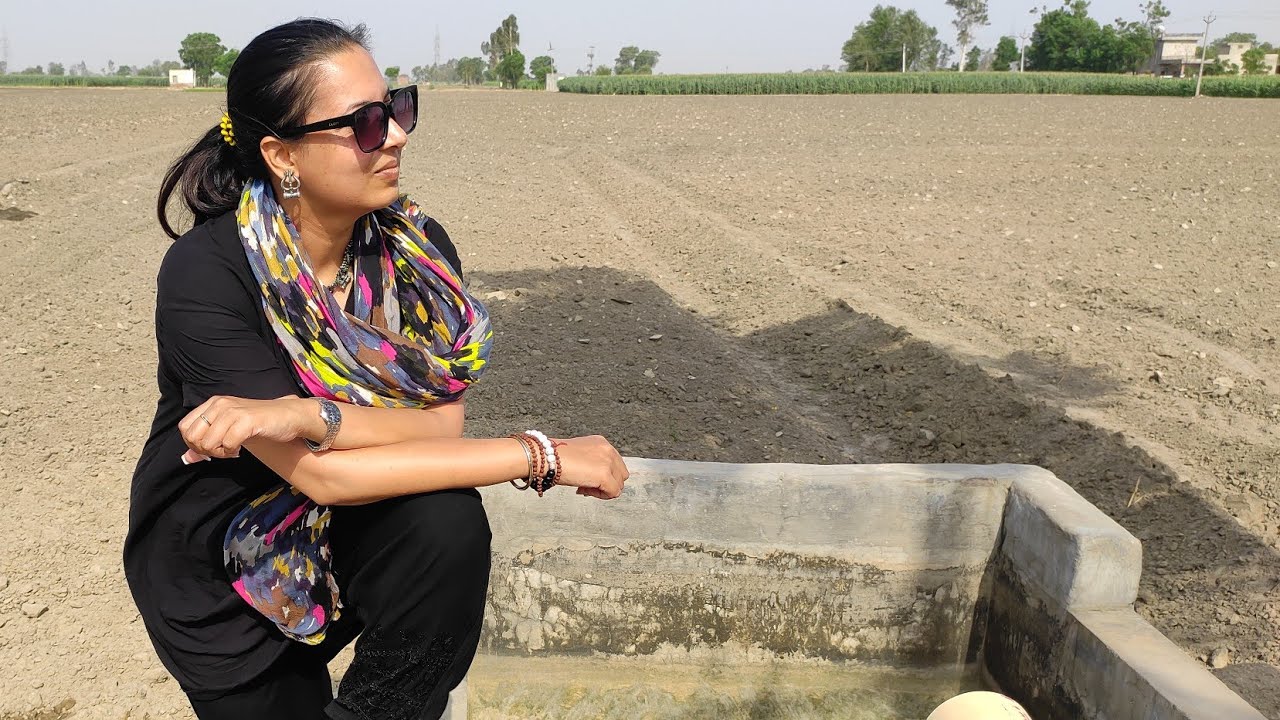 Real life Farmville/Vairoke/Moga/burjgill Village-Bathinda/Punjab ...