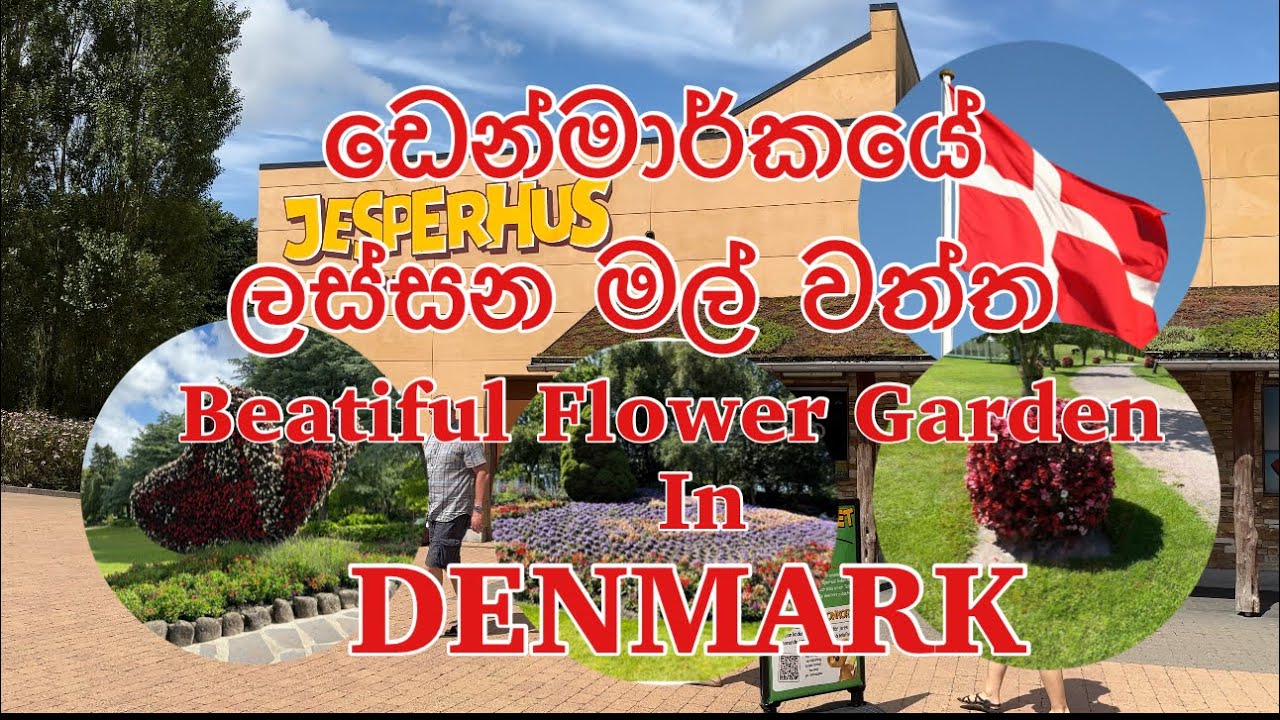 Beautiful Flower Garden In Denmark 🌺😍/ඩෙන්මාර්කයේ ලස්සන මල් වත්ත 😊 ...