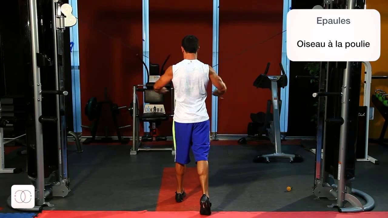 Oiseau poulie - YouTube