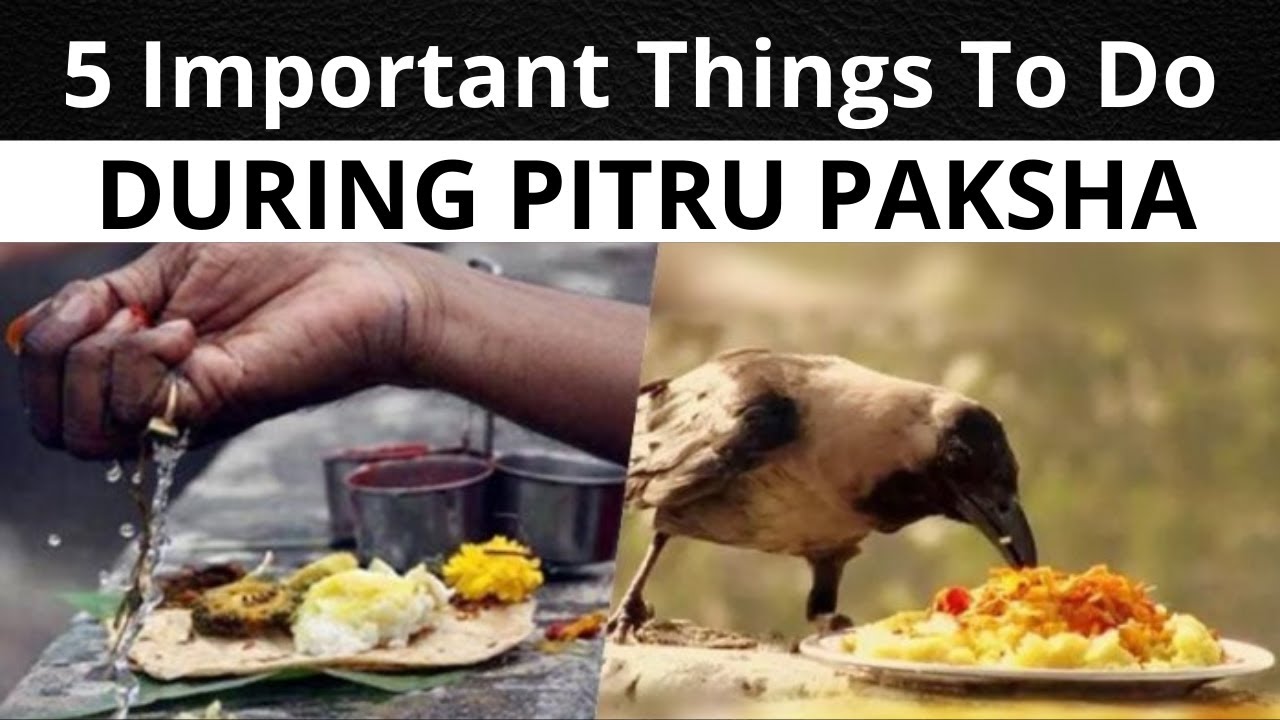 Pitru Paksha: 5 IMPORTANT THINGS to Do During PITRU PAKSHA | Shradh ...