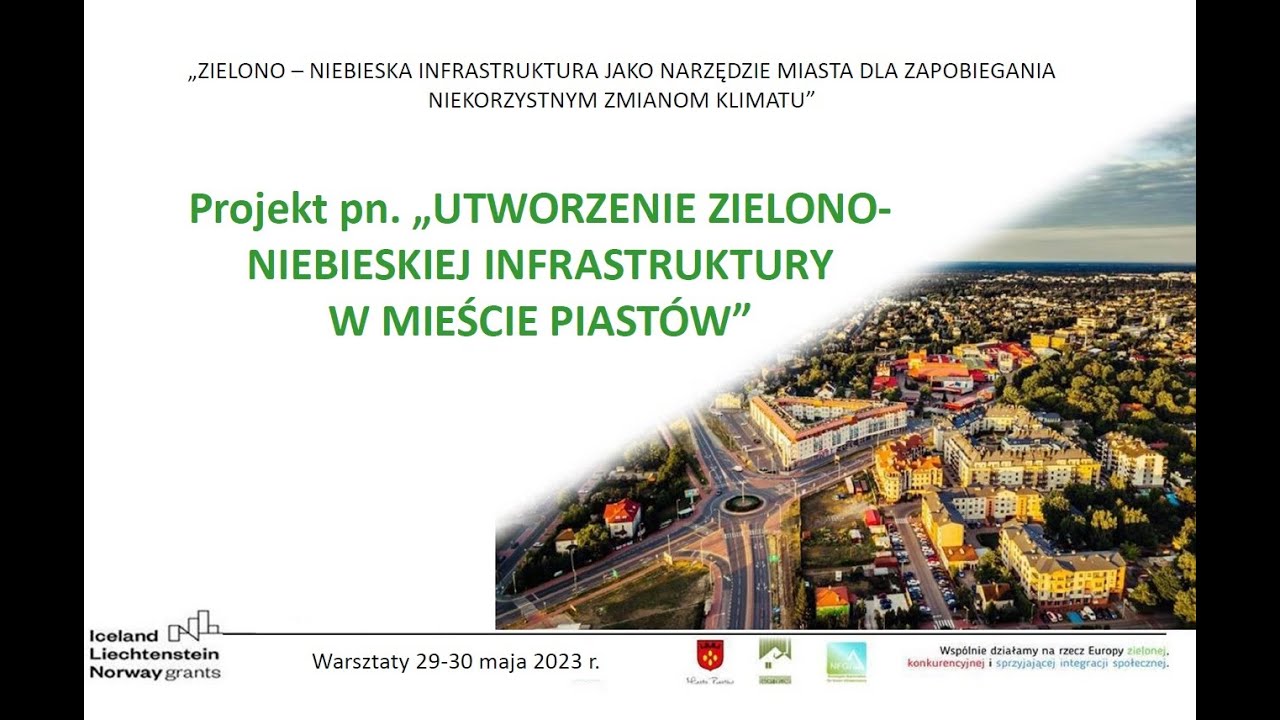 Warsztat 1 pt. „ZIELONO–NIEBIESKA INFRASTRUKTURA JAKO NARZĘDZIE MIASTA ...