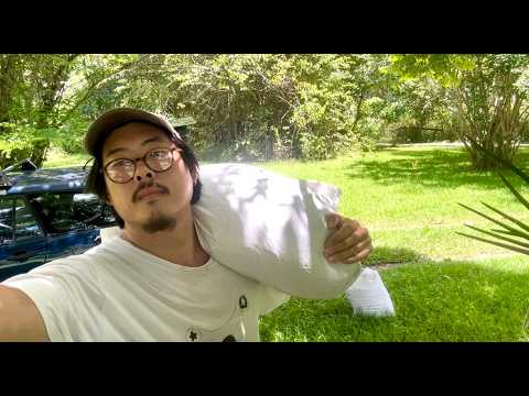 How I spend $20/day living on a budget in Australia | cost of living ...