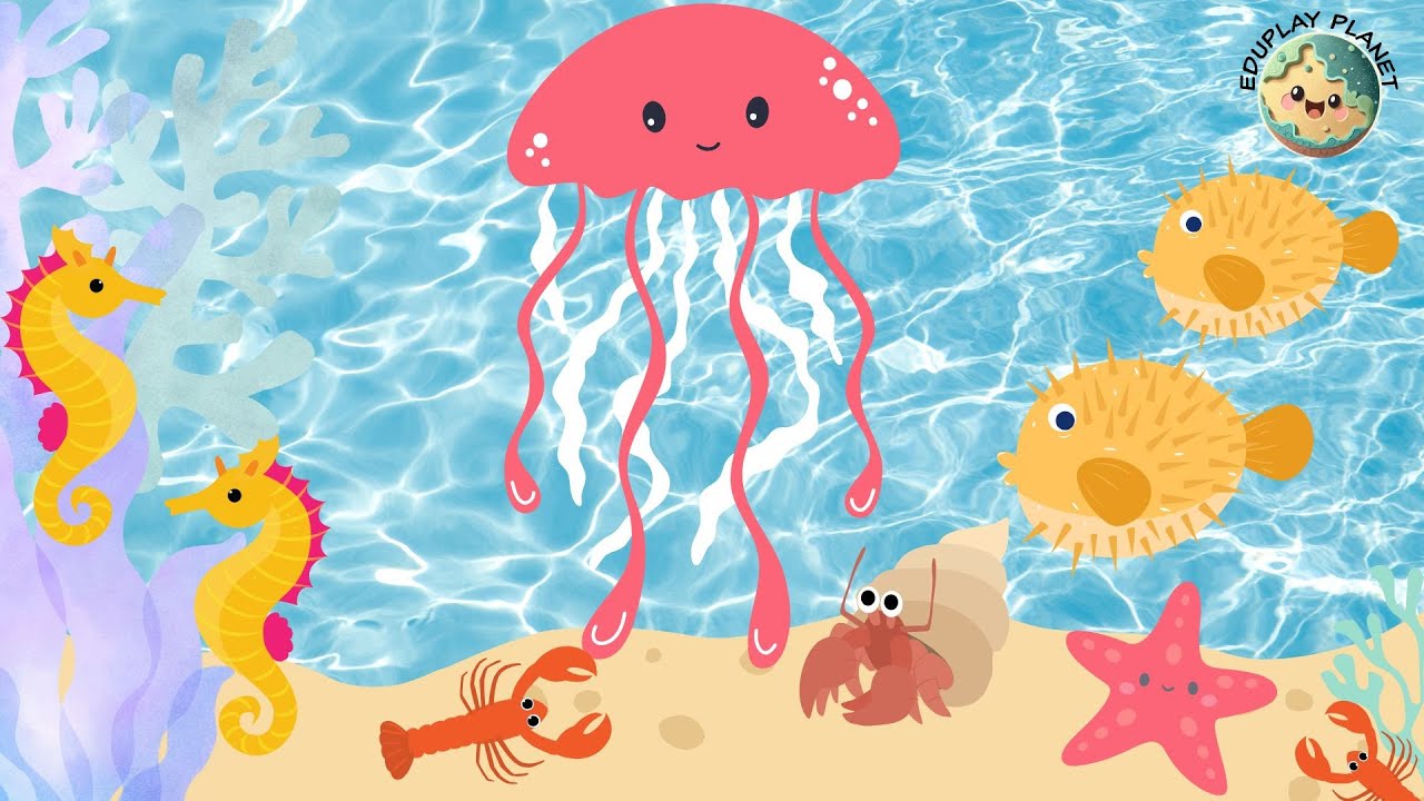 Learn Sea Life Names | Low Stimulation Ocean Animal Sensory Video for ...