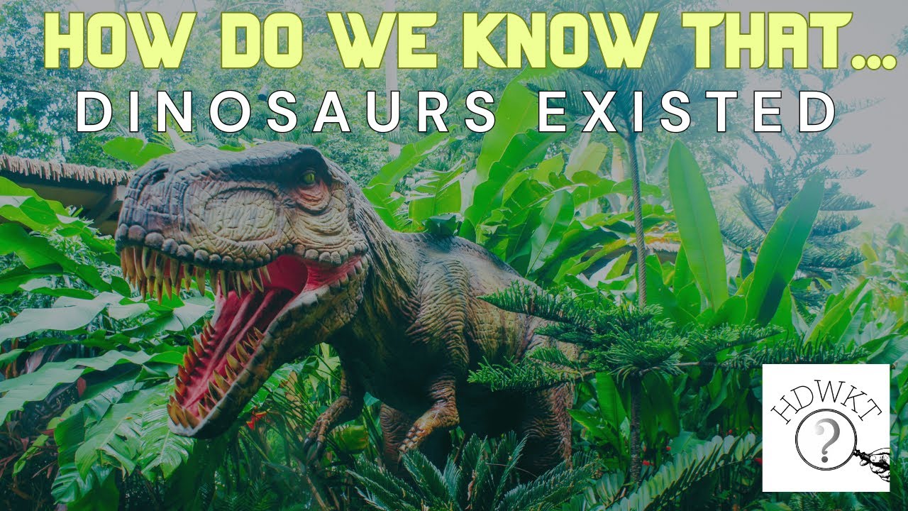 How Do We Know That Dinosaurs Existed? - YouTube