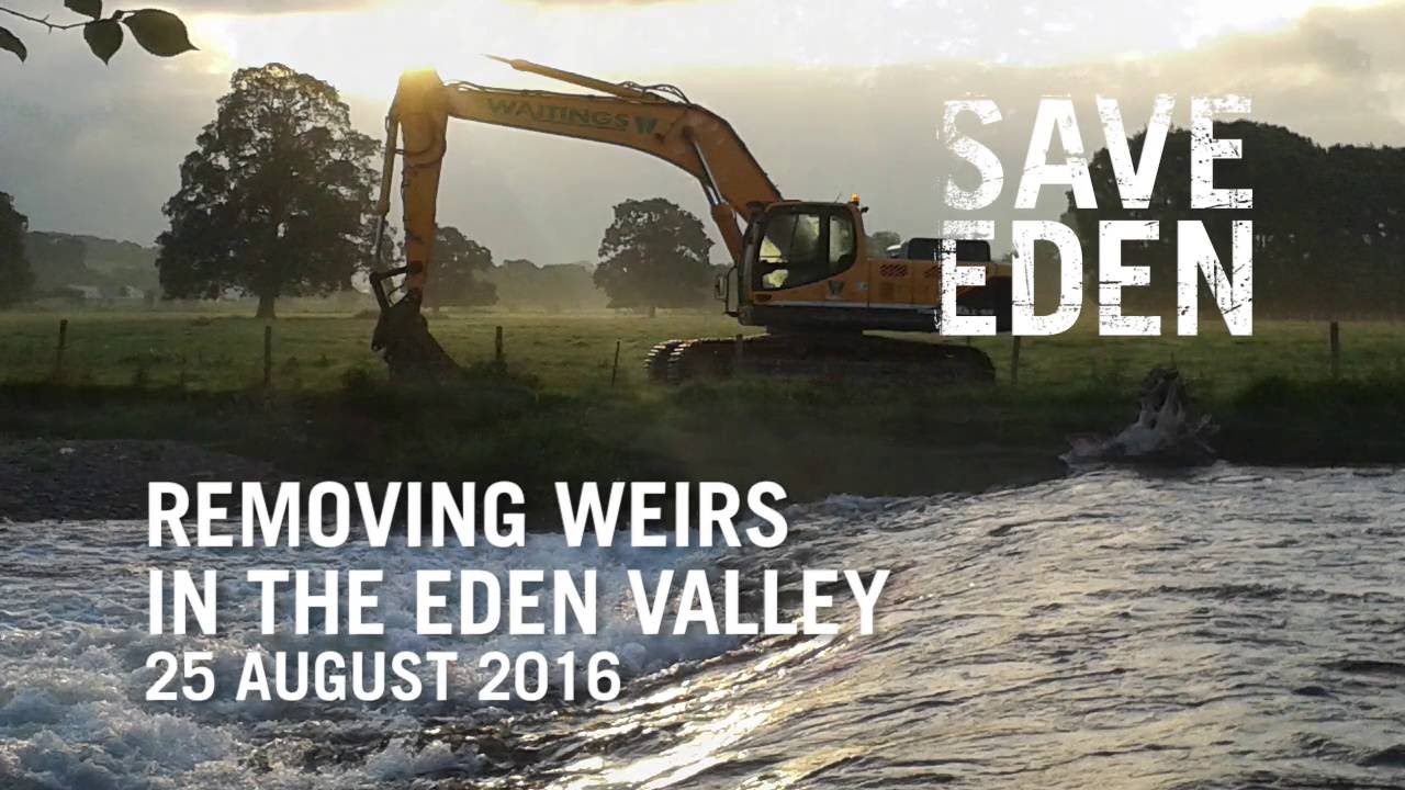 Removing Weirs in Eden Valley - YouTube