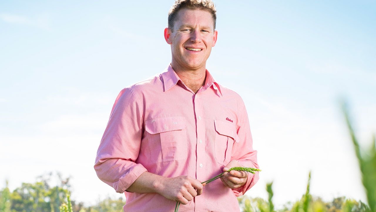 Chris Toohey, Elders - YouTube