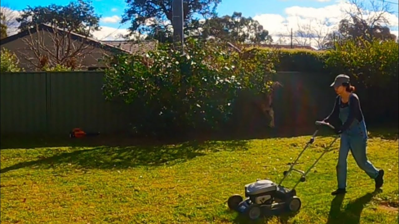 yard tidy up - YouTube