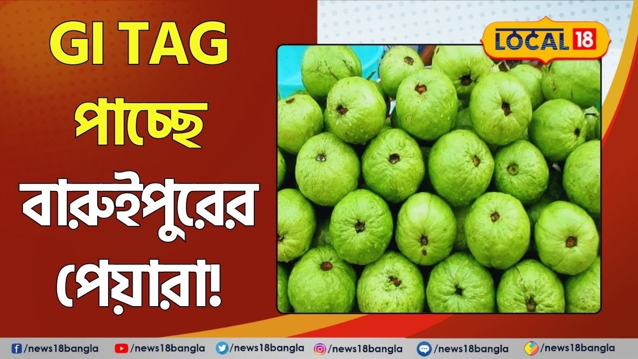 Baruipur | GI TAG পাচ্ছে বারুইপুরের পেয়ারা! Benefits of Guava | Peyara ...