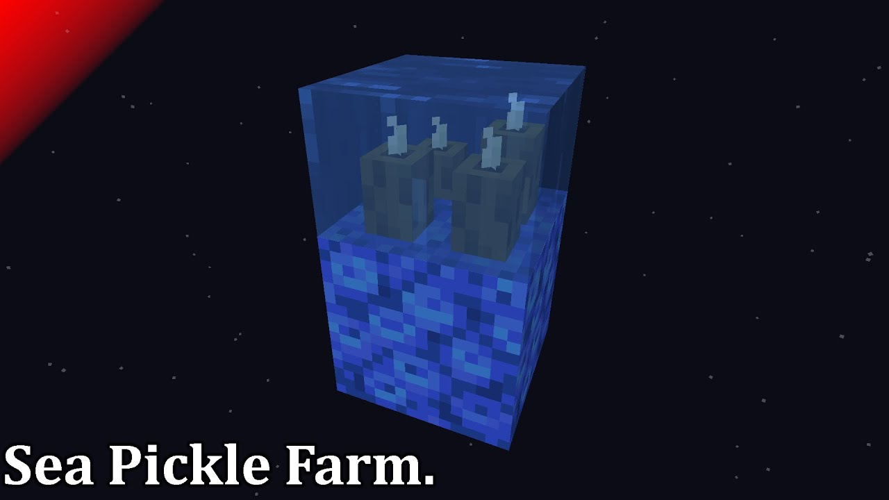 Sea Pickle Farm. | Minecraft 1.16 - YouTube