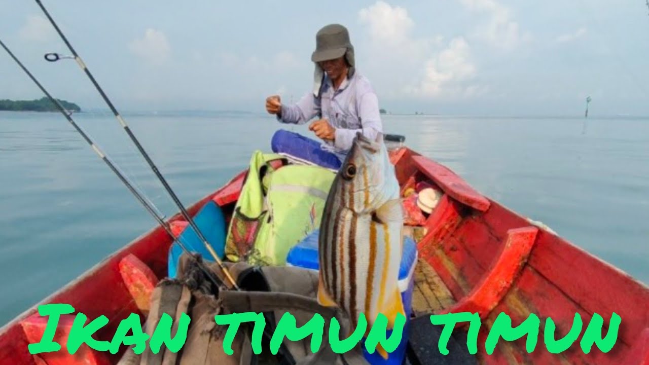 Mancing di atas sampan mancing ikan timun timun - YouTube