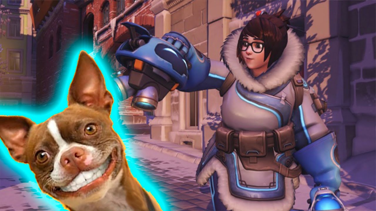 Mei vs Crazy Dog - Play of te Game - YouTube
