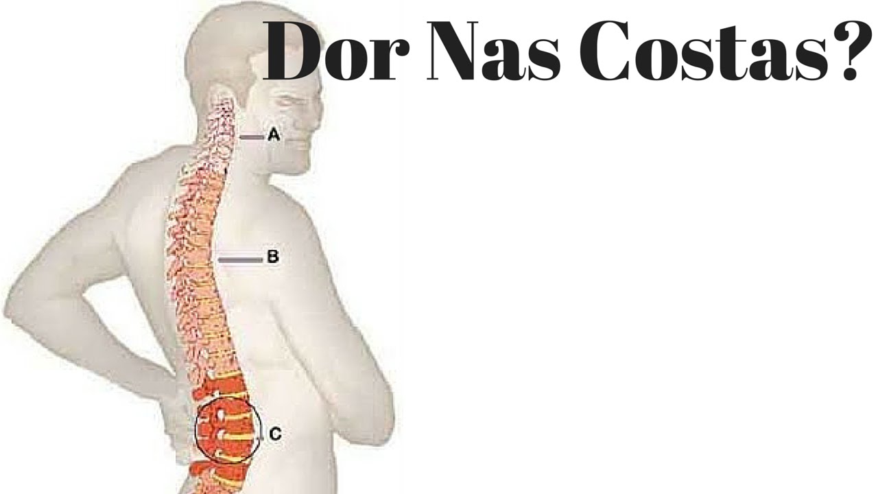 Lado Esquerdo Do Corpo Humano - FDPLEARN