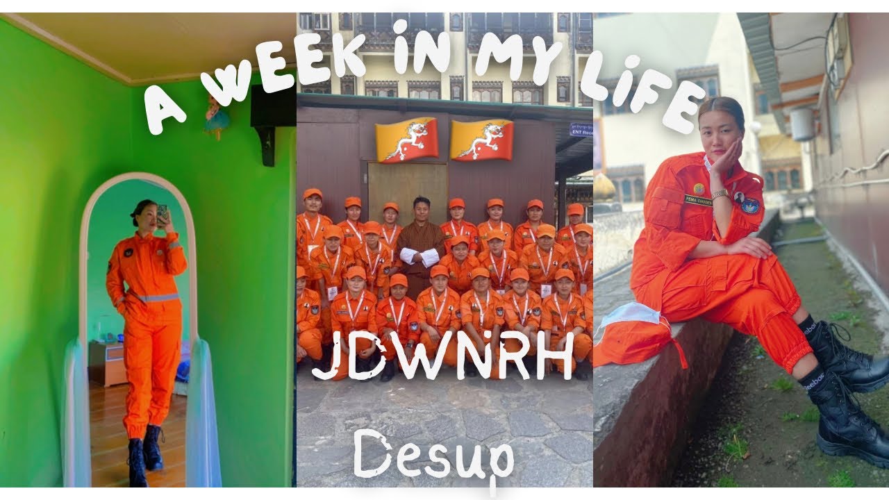 || My last week at Hospital || 🇧🇹 || Proud to be Desup || - YouTube