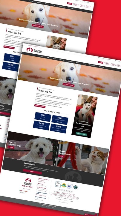 Petcare Website Design | CMS | Wordpress - YouTube