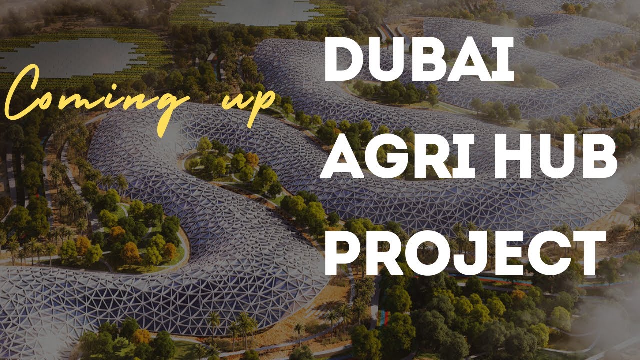 HOW DUBAI FARMS IN A DESERT - DUBAI AGRI HUB PROJECT! - YouTube