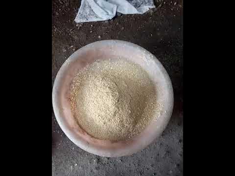 meracik pakan ayam Bangkok - YouTube