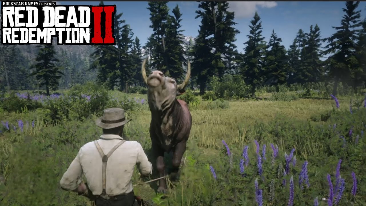 RDR2 FARMING FOR BEGINNERS - YouTube