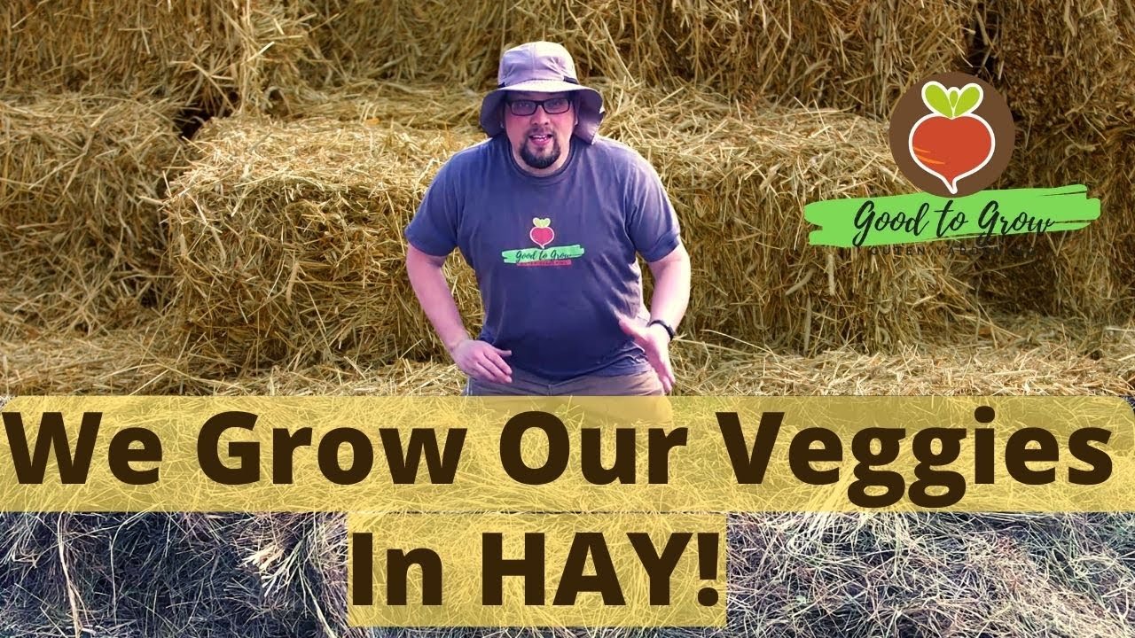 Easy to Prepare Ruth Stout Gardening Method | Simple No Till Farming ...