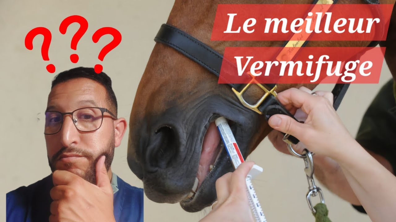 Choisir le meilleur vermifuge (Antiparasitaire) pour le cheval - YouTube