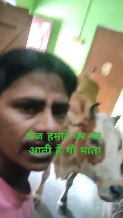 जिसके घर पर आती है गौ माता तो उसके सारे कष्ट दूर हो जाते हैं जय हो गौ