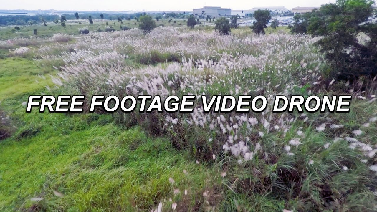 free footage video drone 2 - YouTube