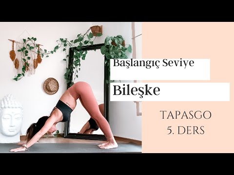 Başlangıç Seviye Yoga 5. Ders