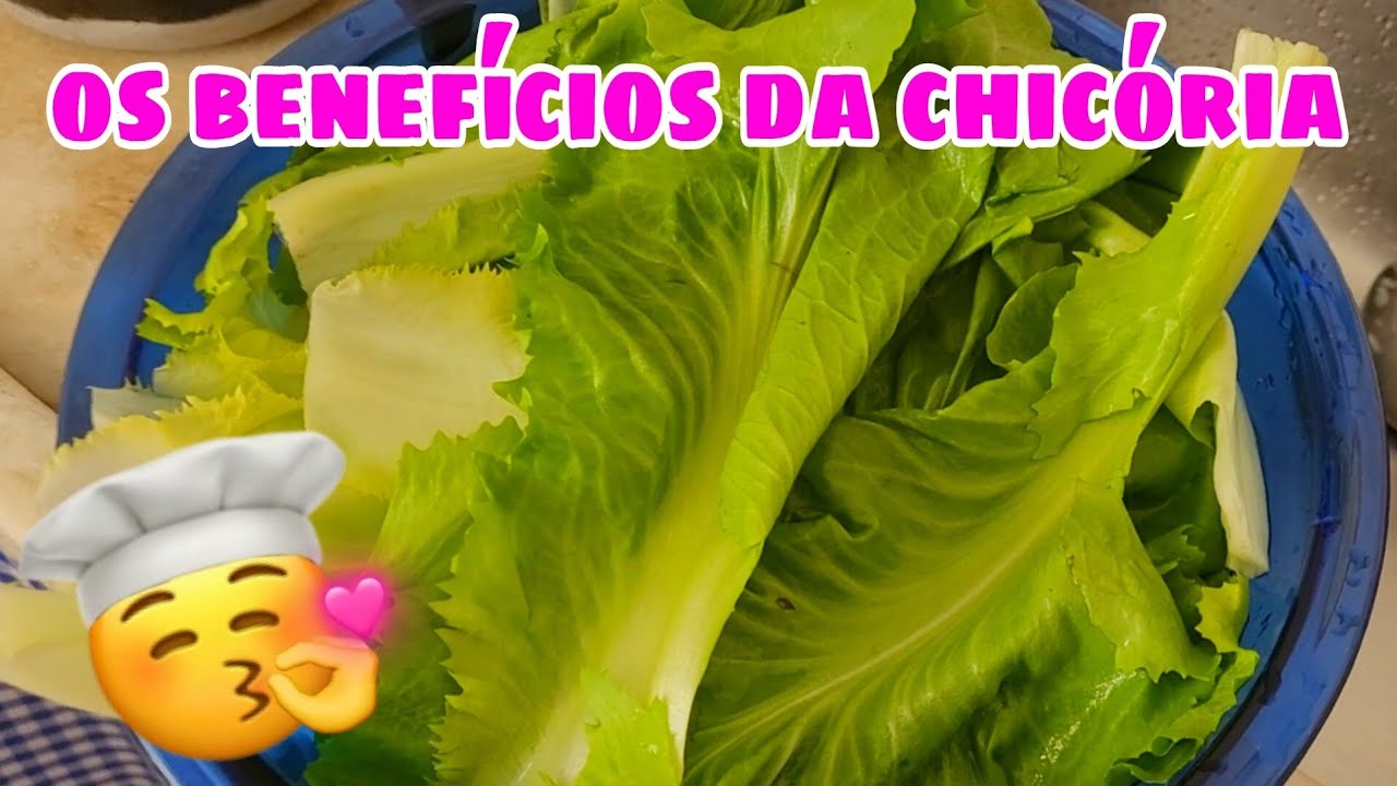 COMO FAZER CHICÓRIA ESCAROLA | Benefícios da Chicória Para Saúde ...