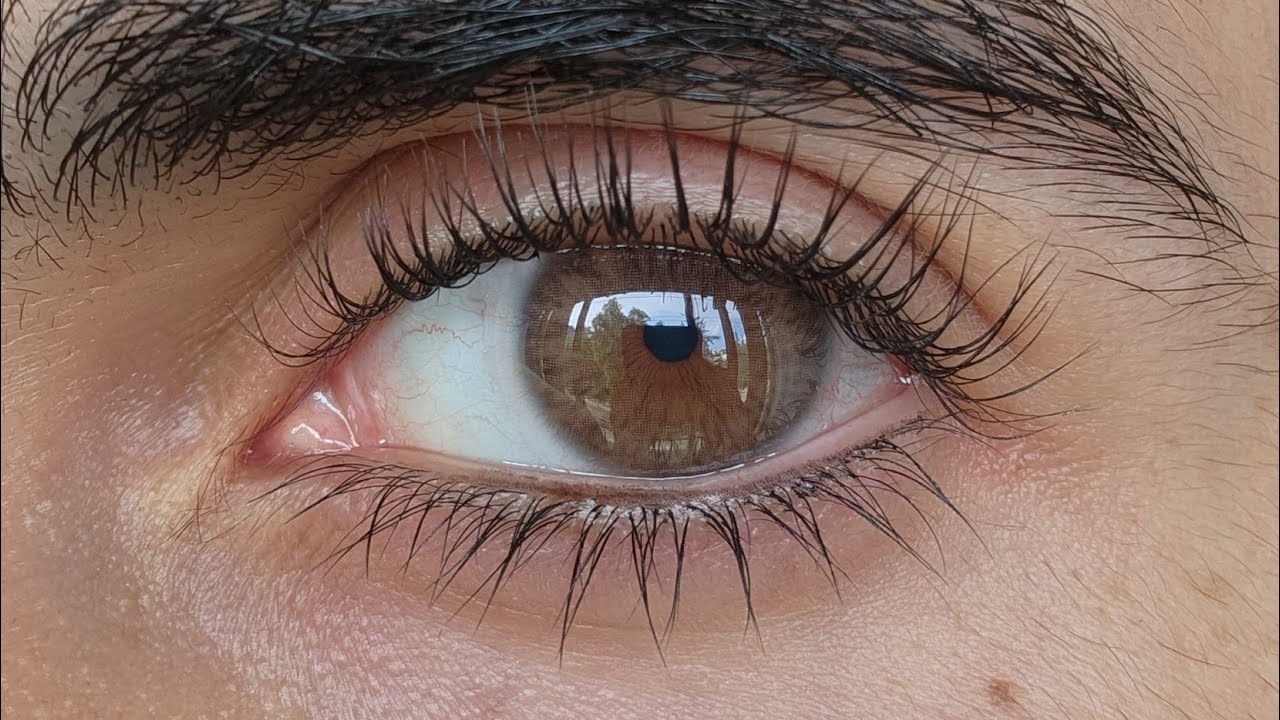 Siesta Crystal Iris Cocoa Edición Internacional #colorcl #moriseft # ...